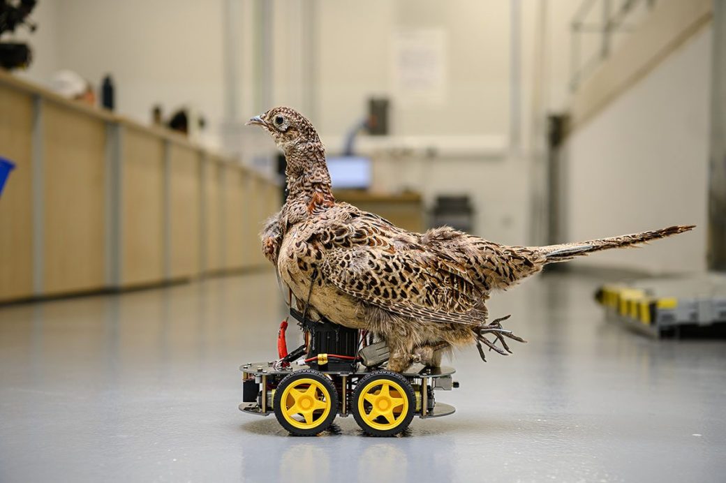 Building an autonomous future | KU Explorer